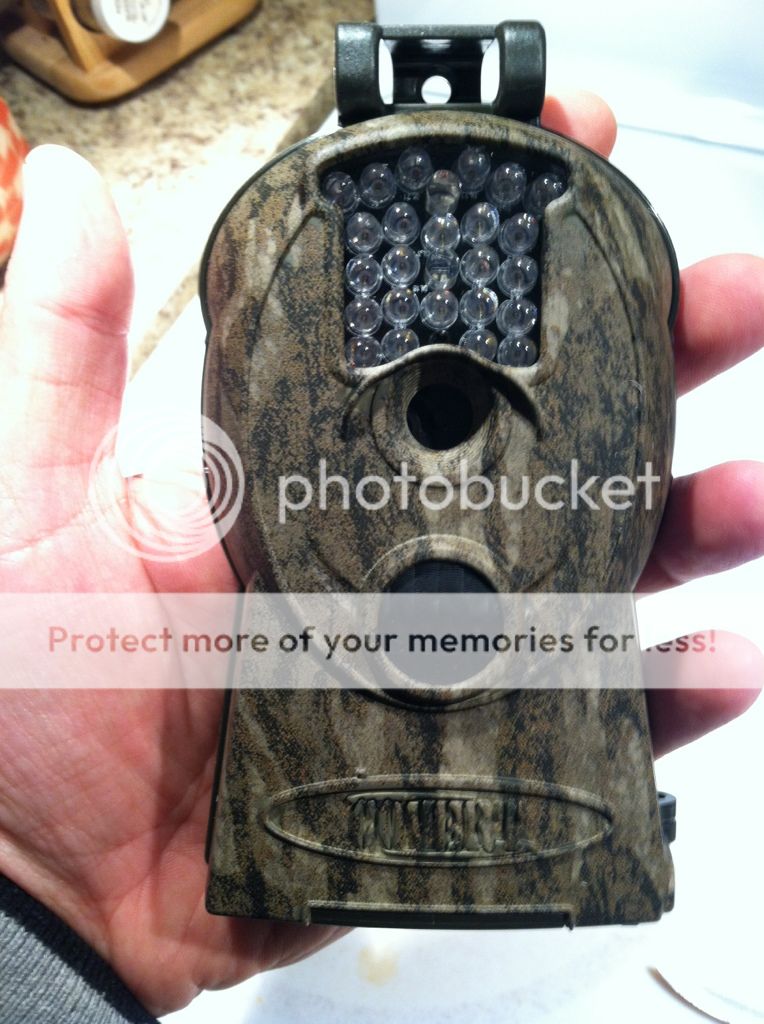 dlc covert - The Hunting Beast